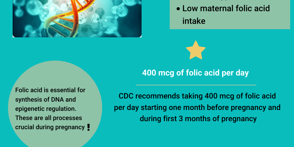 Neural Tube Defects and Nutrient Deficiency by Jamie Glover - Infogram