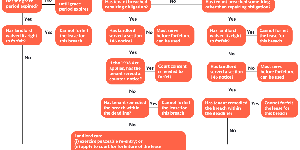 Back to Basics: forfeiture flow chart Apr 2022 - Infogram