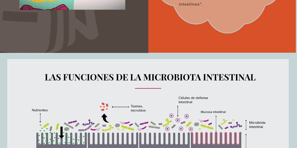 Las Emociones Y El Sistema Digestivo Infogram