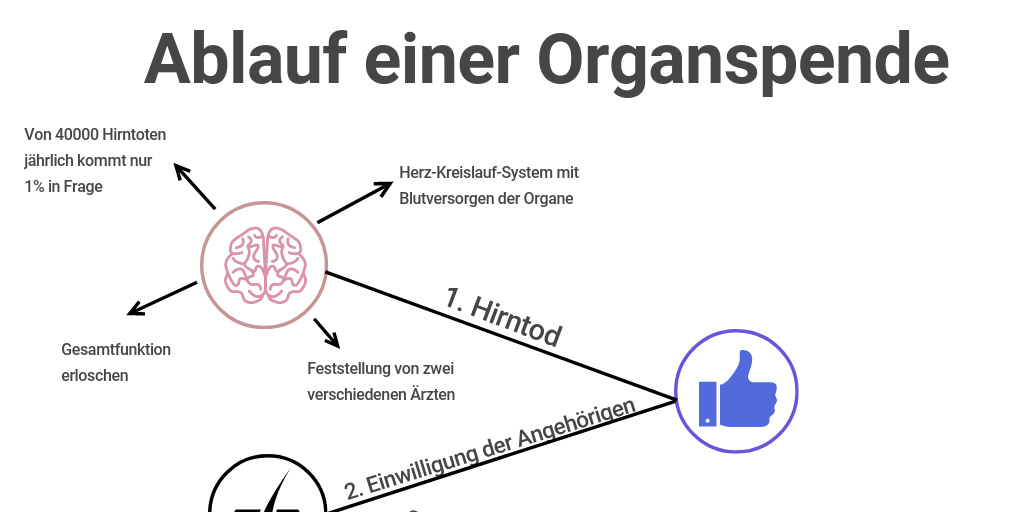 Ablauf der Organspende - Infogram