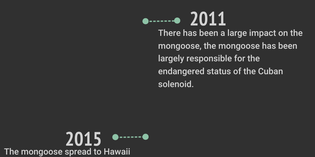 Timeline Dark Infographic by Carson Reitz - Infogram