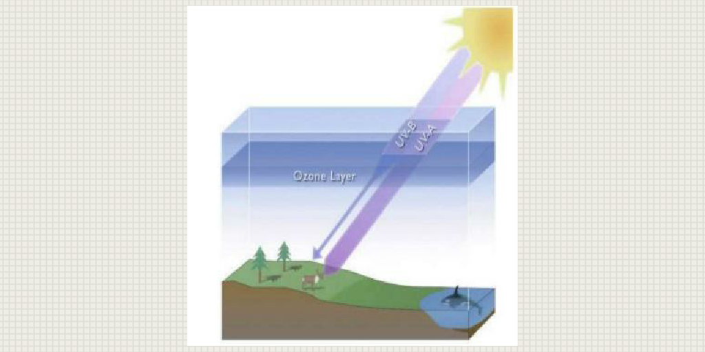 Benefits of Stratospheric Ozone - Infogram