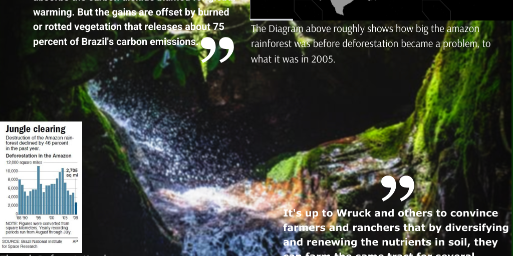 Deforestation in the Amazon by Matthew Davidson - Infogram