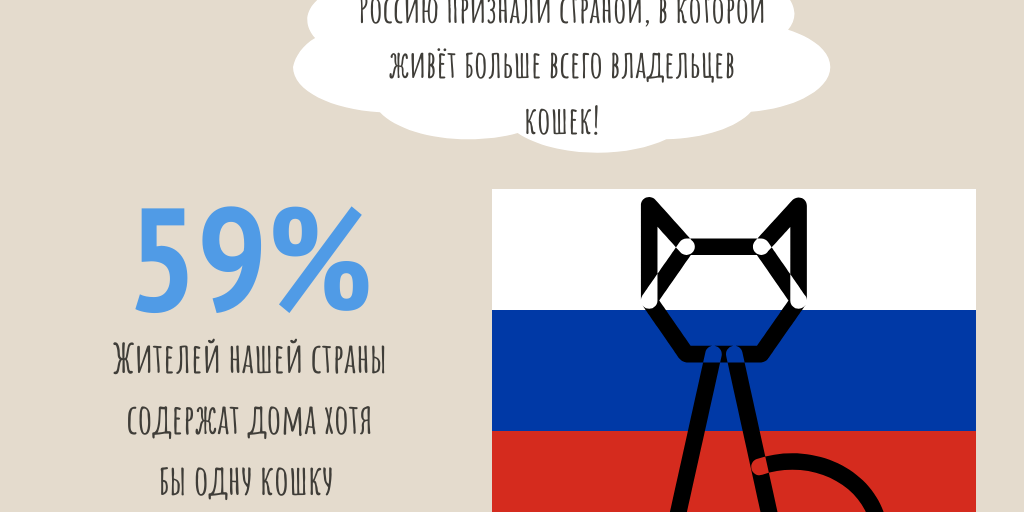 Busy Charts by Екатерина Ракутина - Infogram