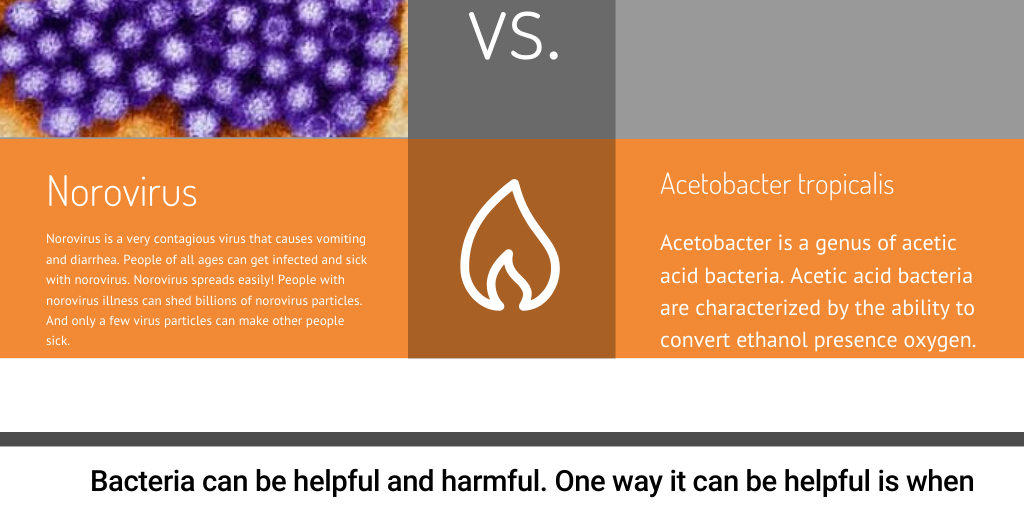 Bacteria Poster by Jonah Haan - Infogram