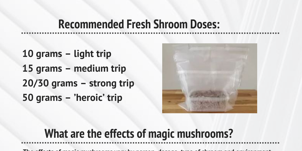 A Complete Guide to Growing Magic Mushrooms with Grow Kits - Infogram