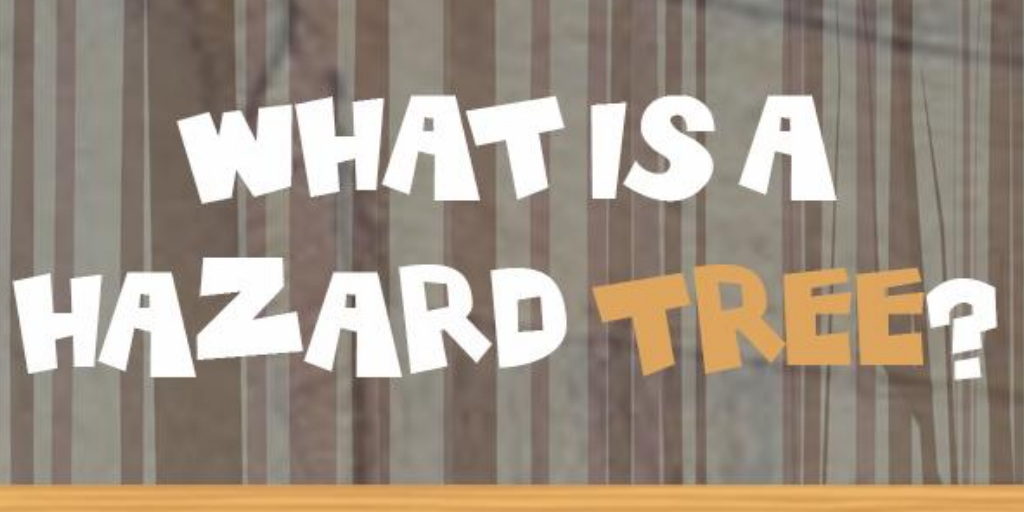 What is a hazard tree? by Northern Lakes Tree Service - Infogram