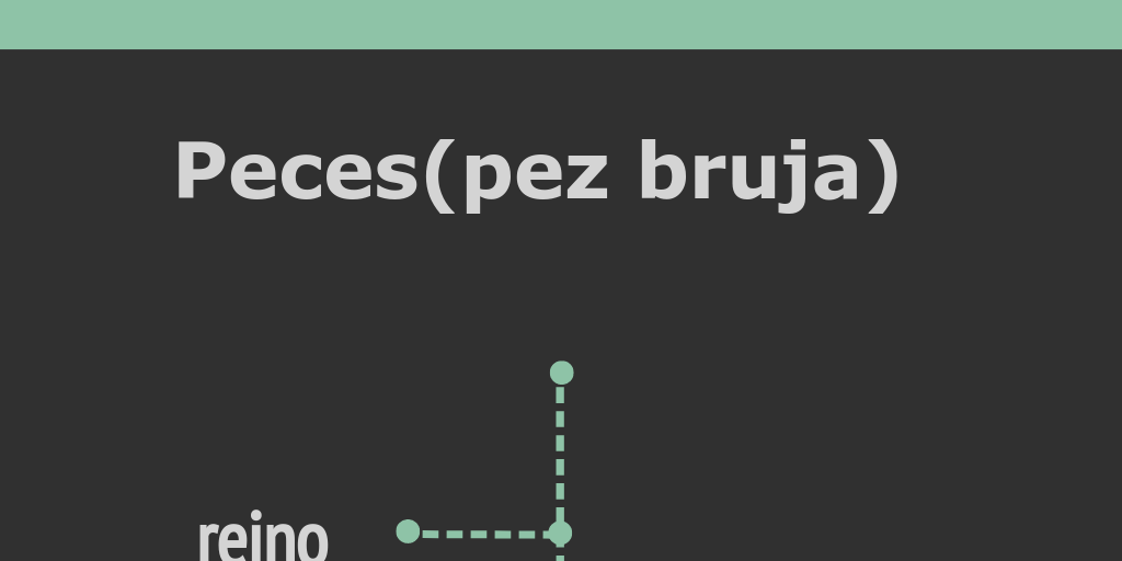 taxonomia de los peces(pez bruja) by oniver quintero - Infogram