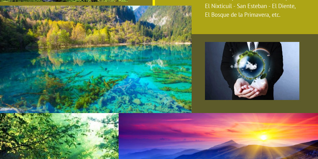 Convención Para La Protección De La Flora De La Fauna Y De Las
