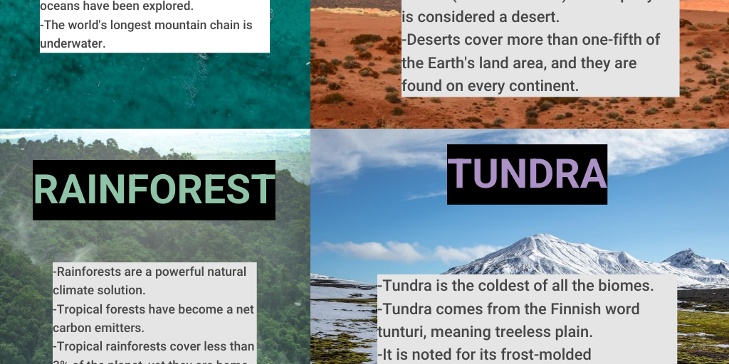 Climate- Graphic Organizer by Izzy Marx - Infogram