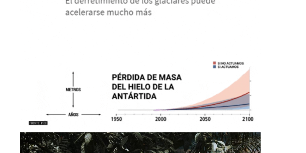 Proyectó integrador modulo 20 - Infogram