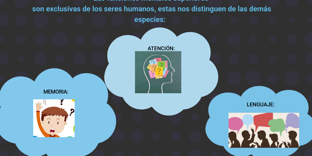 Funciones Cerebrales Y El Aprendizaje Infogram