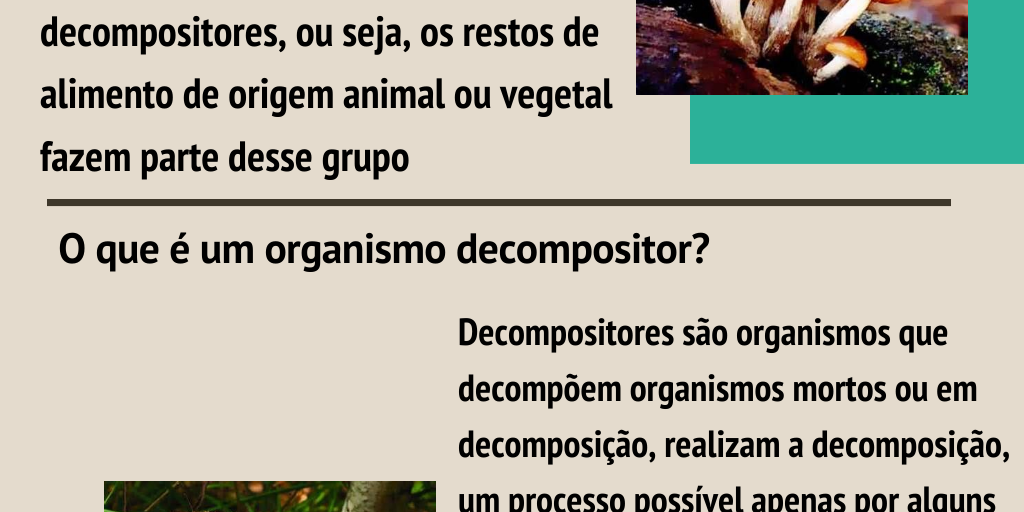 Ocean Sand by Mariana Ferreira - Infogram