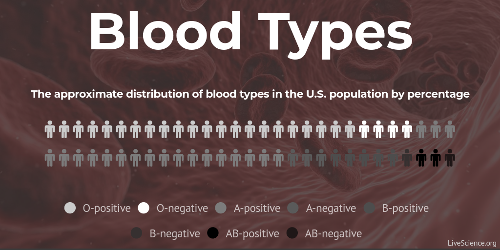 Blood Types Infographic - Infogram