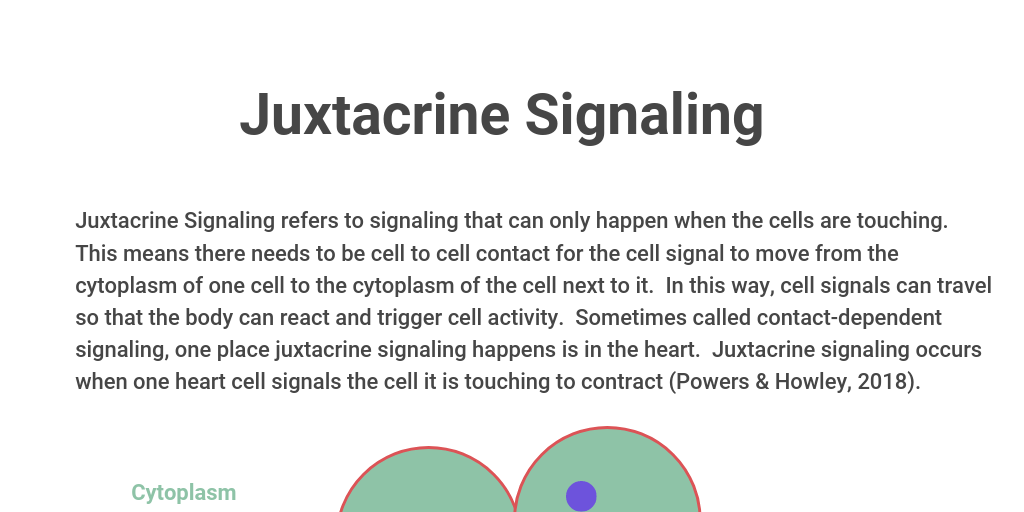 Juxtacrine Signaling by Rachel Cassidy - Infogram