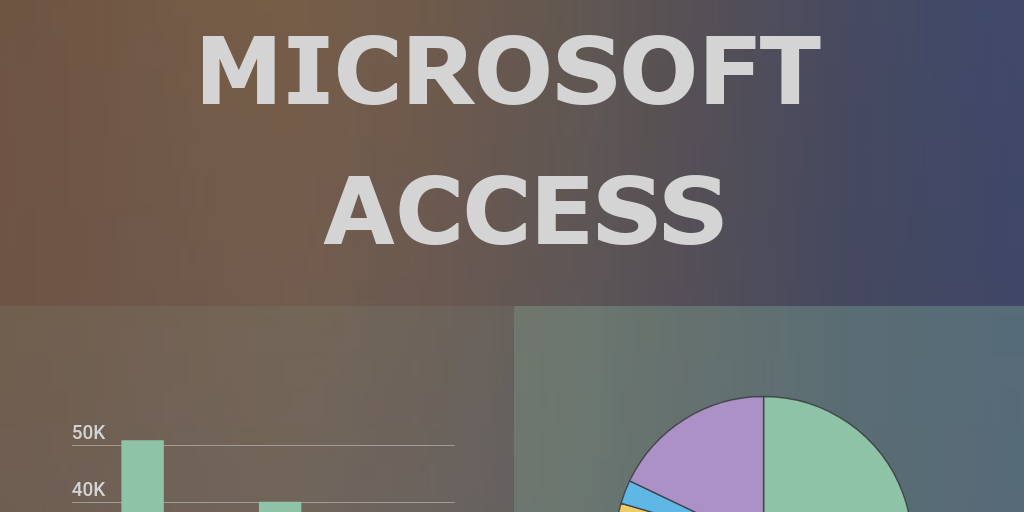 Infographic Microsoft Access by Miguel Martínez - Infogram