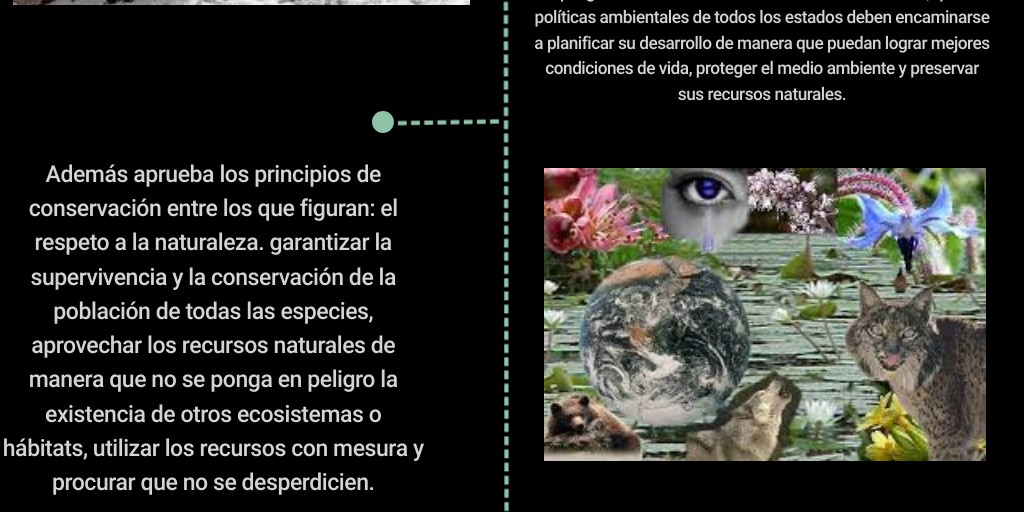 Timeline Dark Infographic by Lizbeth Yasmin Ruvalcaba Moran - Infogram