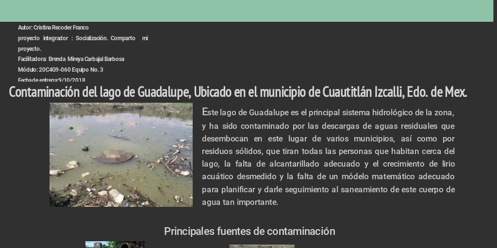 Proyecto integrador: Socialización. Comparto mi proyecto. módulo 20 - Infogram