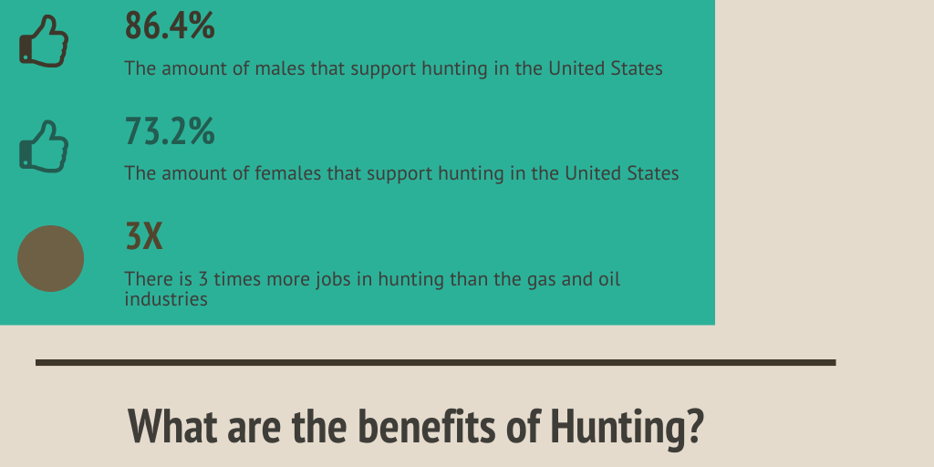 Ocean Sand - Infogram