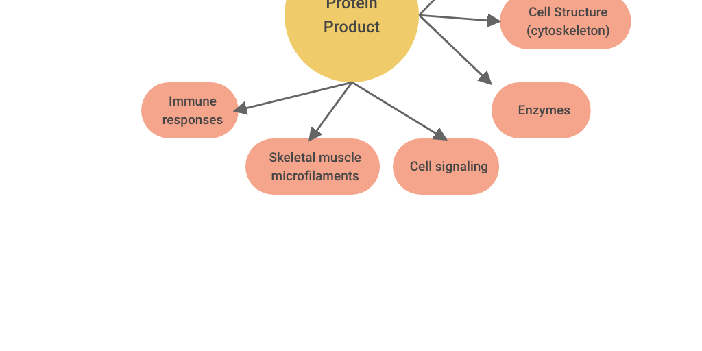 DNA mind map - Infogram