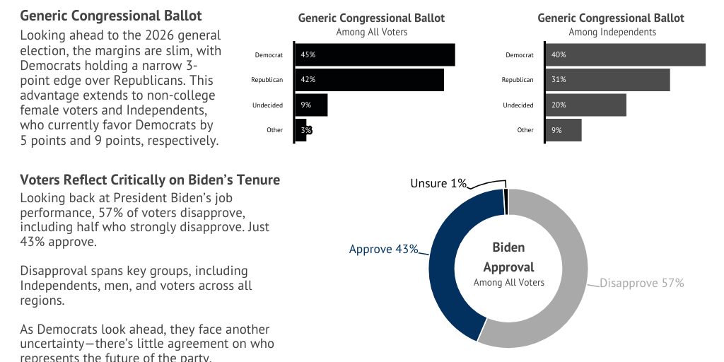 National Issue Study 2025 - Political Winds - Executive Summary by Sam ...