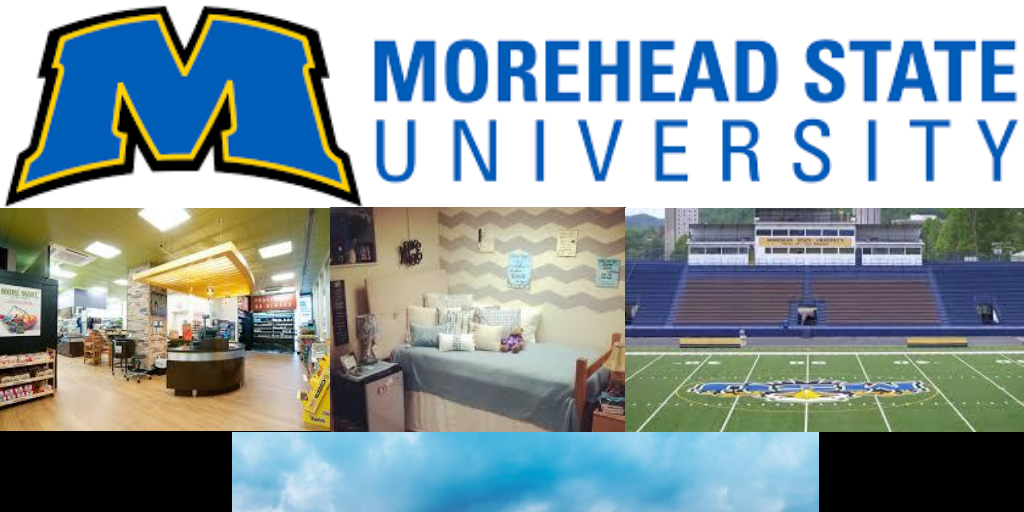 Infographic Modern by Brayden Lewis - Infogram