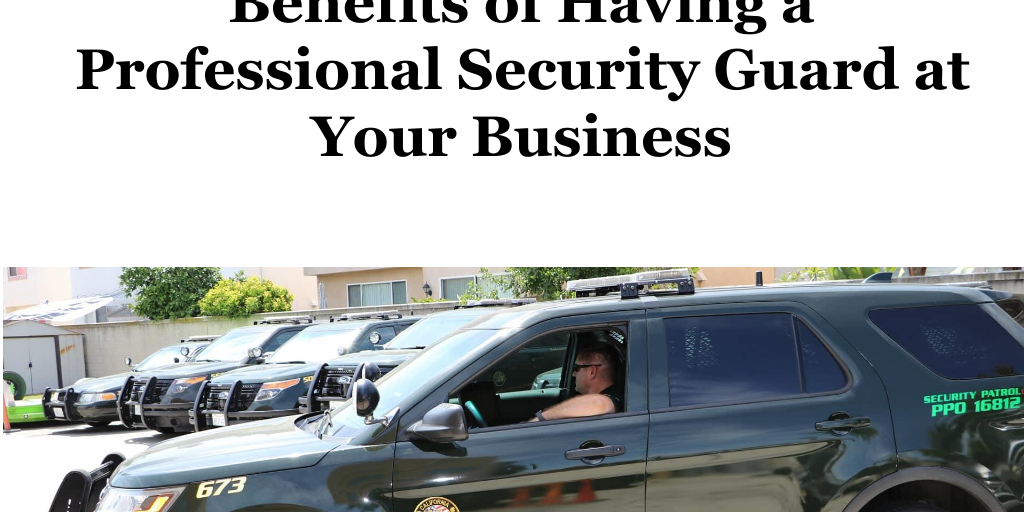 Benefits Of Having A Professional Security Guard At Your Business Ppt