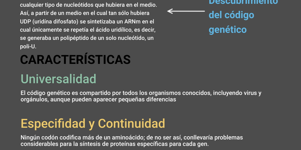 infografía el código genético - Infogram