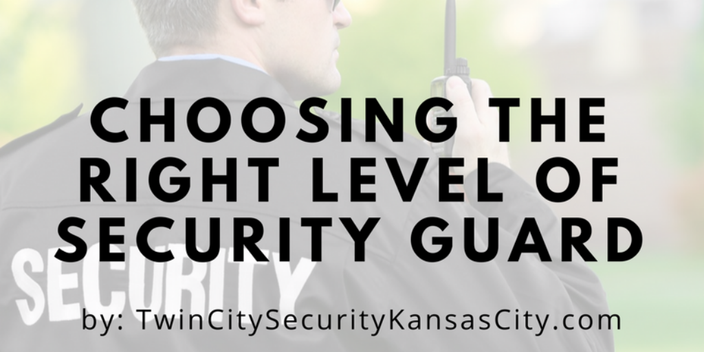 Choosing the Right Level of Security Guard Infographic by Twin City ...