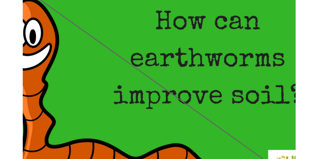 How can earthworms help to improve soil quality? by Aarth Gupta - Infogram