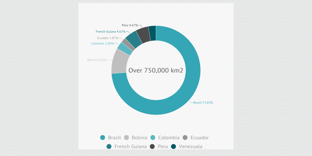 Amazon Rainforest infographic - Infogram