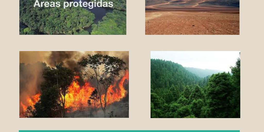 Ocean Sand by Enrique Hernandez - Infogram