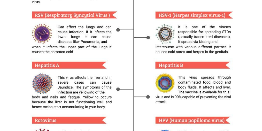 What is a Virus? And It’s Examples - Infogram