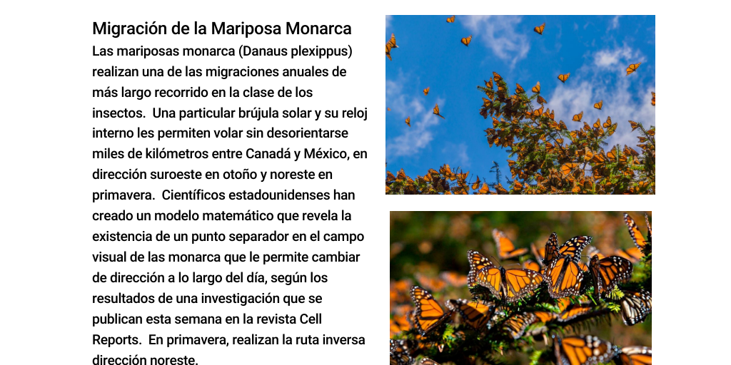 Fenómenos físicos, biológicos y humanos. - Infogram