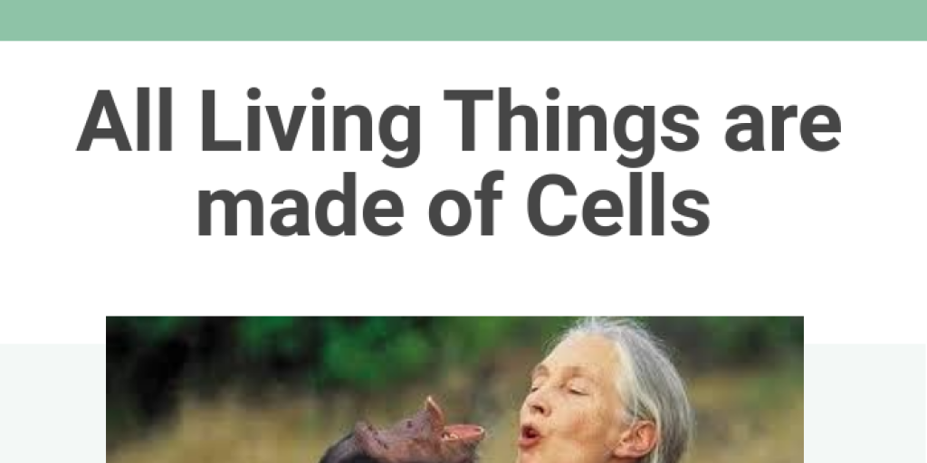 Cell Infographic Poster by Nova Shelton - Infogram