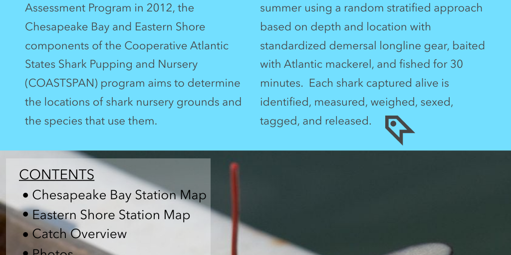 2023 COASTSPAN Chesapeake Bay by Debra Gauthier - Infogram