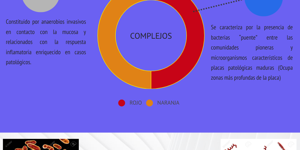 complejo rojo y naranja de Socransky - Infogram