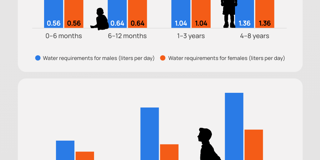 Daily water requirements by life stage and gender by WellnessPulse Team ...