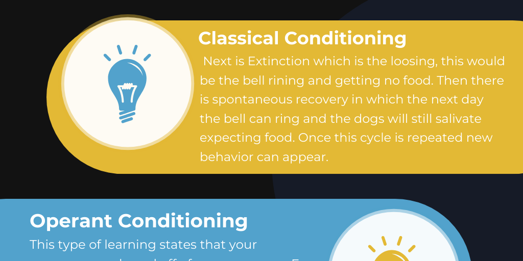 Infographic Assignment by Daisy Kramer - Infogram