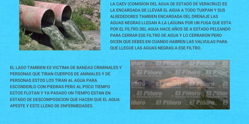 PROYECTO INTEGRADOR MODULO 4 by Juan Gonzalez Rivas - Infogram