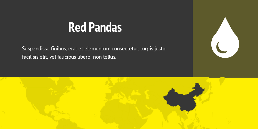 Infographic project on red pandas by CK by Caiya Killion - Infogram