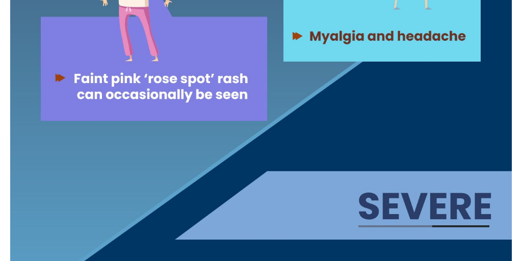Signs and Symptoms of Typhoid by Lewis Edwards - Infogram