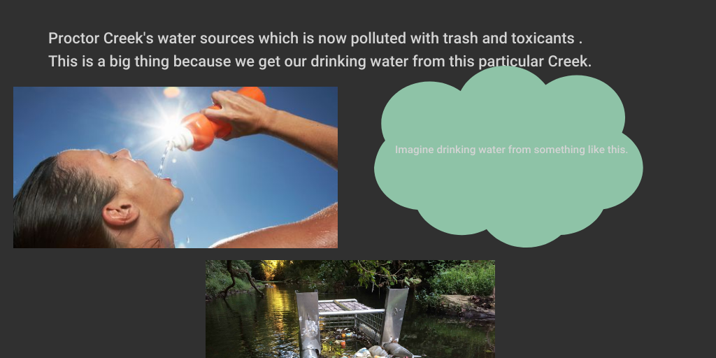 Proctor Creek InfoGraphic by Tiara Thornton - Infogram