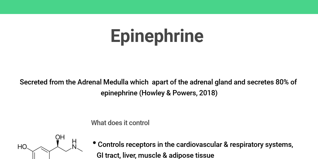 Hormone Map - Epinephrine by Patrick Probst - Infogram