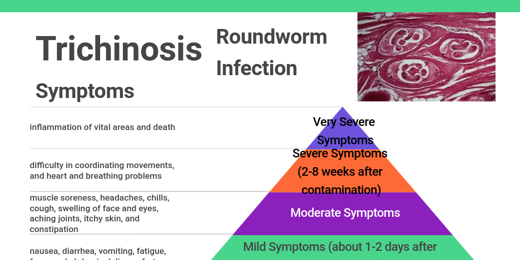 Anatomy and Physiology Disease Project by Thi Le - Infogram