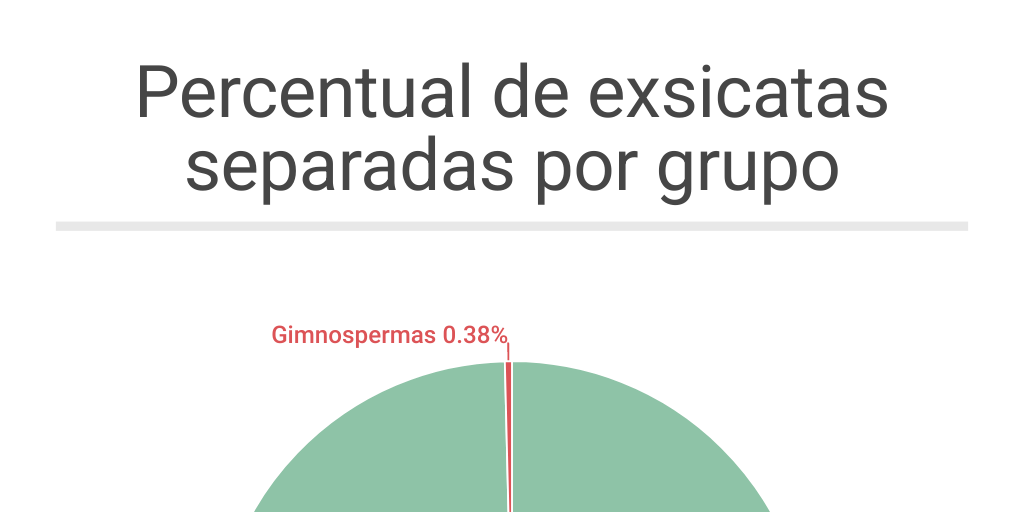 Gráfico de pizza by laura scopel - Infogram