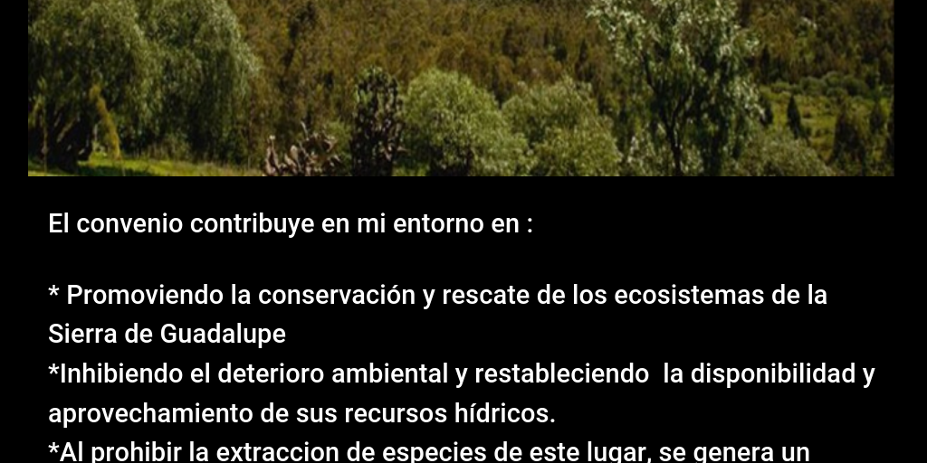 Convención Para La Protección De La Flora De La Fauna Y De Las