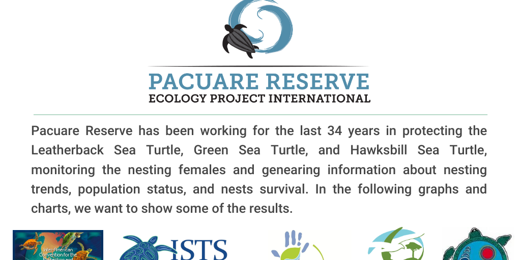 Pacuare Reserve - Sea Turtles Nesting Data by Info Costa Rica - Infogram