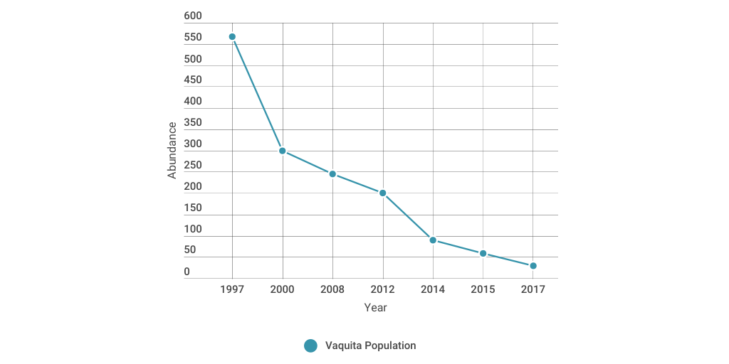 Vaquita Population by Jessy Serrano - Infogram