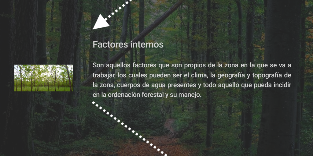 Flow Dark by EDWIN MAURICIO REINA CASAS - Infogram